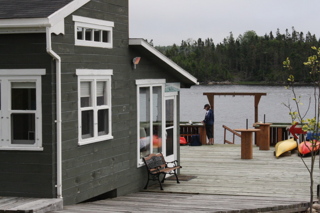 Plein Air Painting | Donna's Gallery