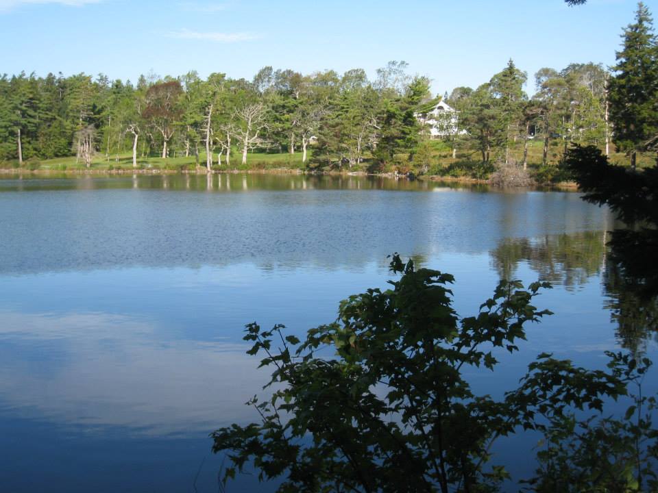 Painting at Uniacke Estate Museum Park | Donna's Gallery